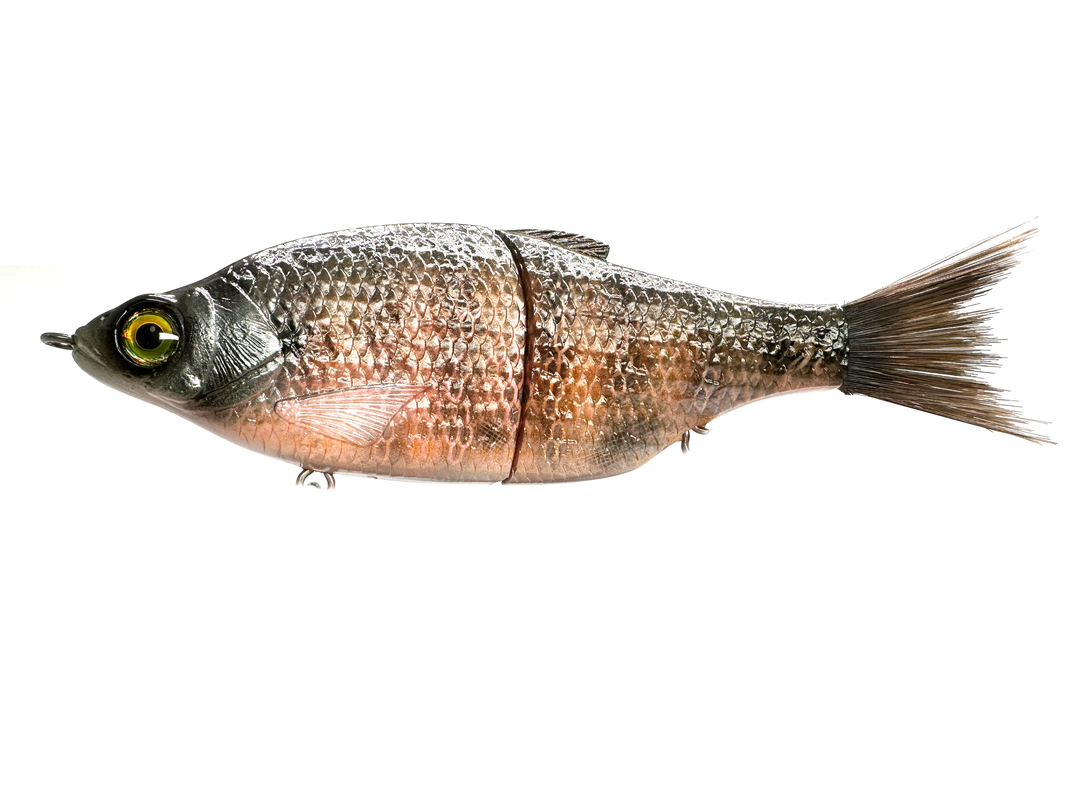 Custom Bait Shop - Premier Bait Shop for Custom Painted Fishing Lures