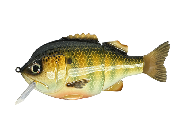 8.5" Gnarly Gill (Sale) – Custom Bait Shop