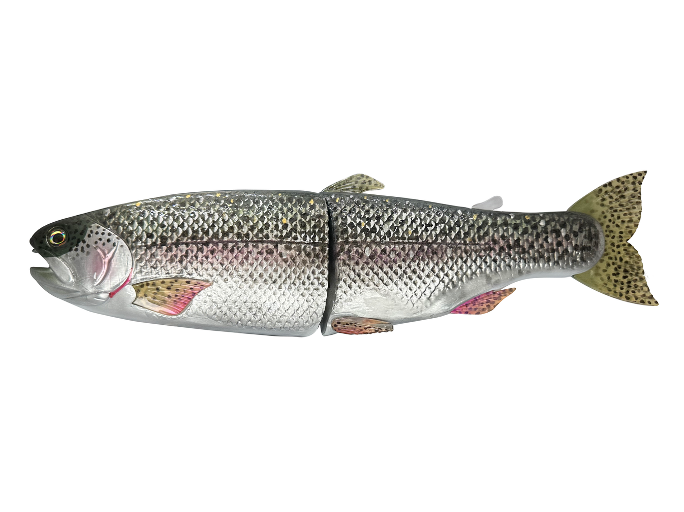 Custom Bait Shop - Color Pattern Examples