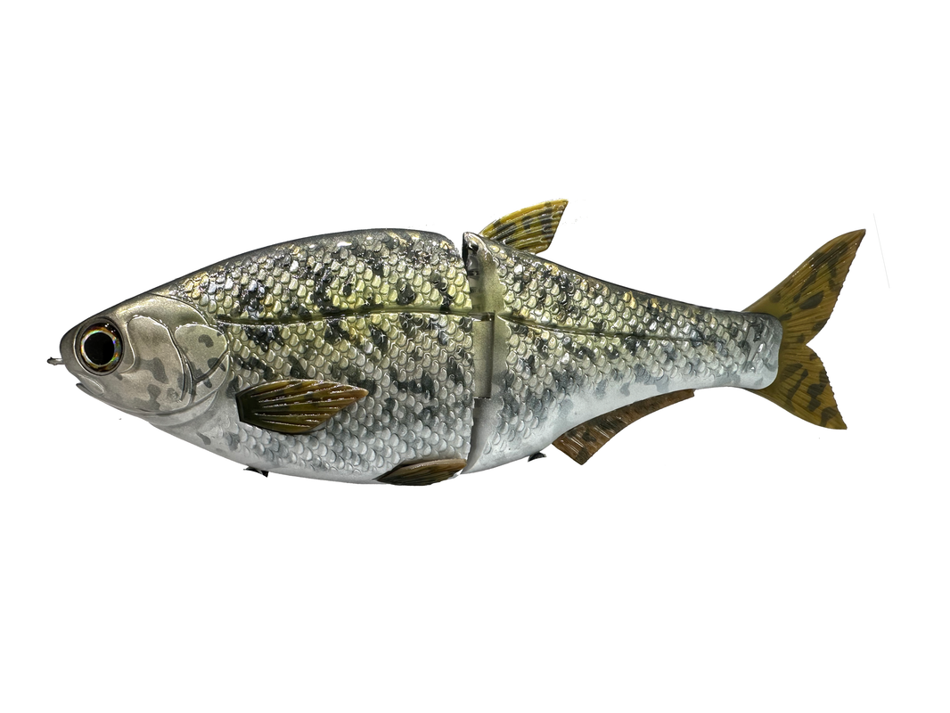 Custom Bait Shop - Premier Bait Shop for Custom Painted Fishing Lures