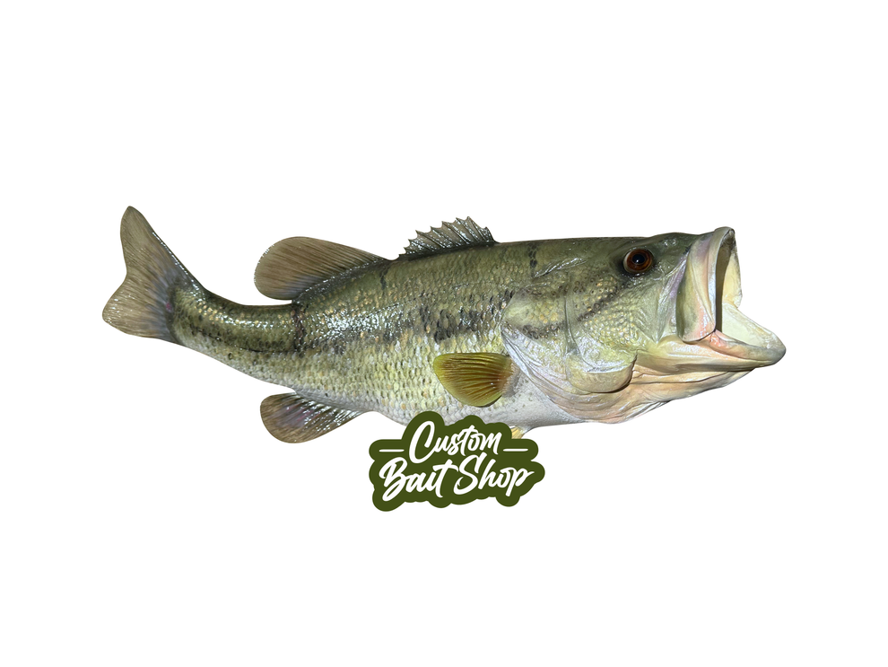 Largemouth Bass Replica (deposit) – Custom Bait Shop