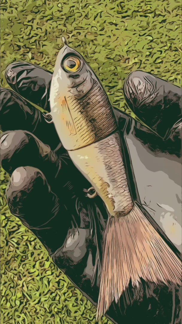 Custom Bait Shop - Premier Bait Shop for Custom Painted Fishing Lures